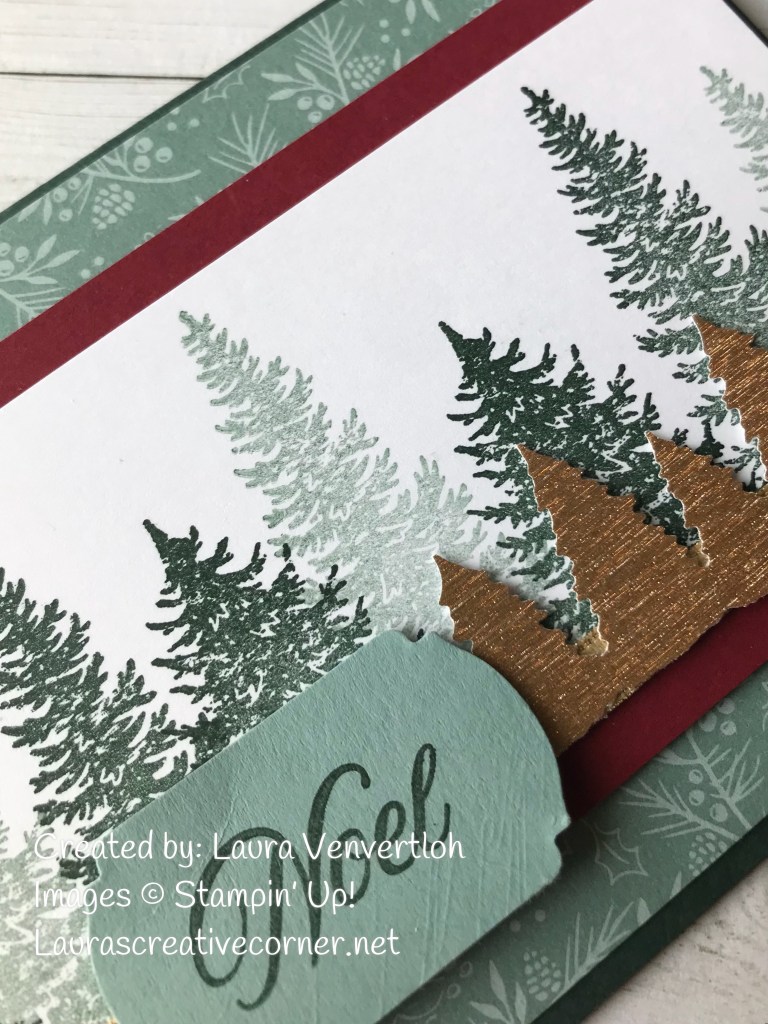 Elegant Evergreen Trees